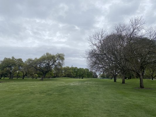 SWENSON PARK GOLF COURSE - Updated October 2024 - 50 Photos & 65 ...