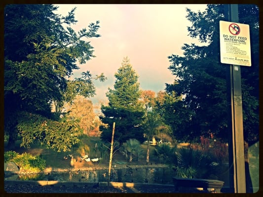 UNION CITY LIBRARY - Updated December 2025 - 46 Photos & 85 Reviews ...