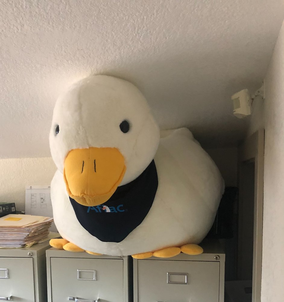 JASON MARSH INSURANCE SERVICES - Updated July 2025 - Request a Quote ...