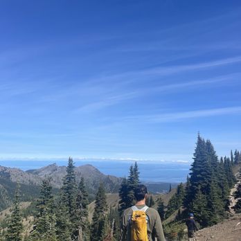 HURRICANE RIDGE - Updated July 2025 - 463 Photos & 104 Reviews - 600 E ...