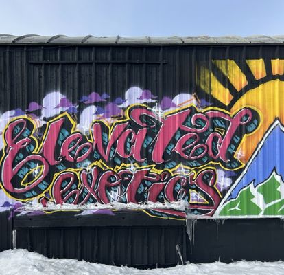 ELEVATED EXOTICS - Updated December 2025 - 26 Photos - 1012 20th Ave ...