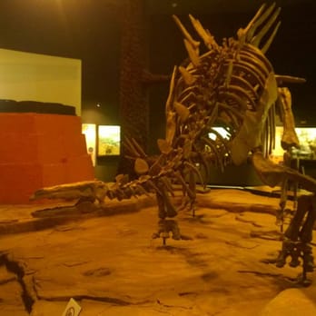 DELAWARE MUSEUM OF NATURE AND SCIENCE - Updated May 2025 - 125 Photos ...