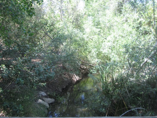 TURTLE ROCK COMMUNITY CENTER - Updated October 2025 - 25 Photos & 17 ...