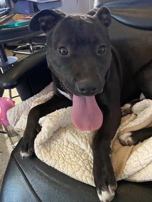 HUMANE SOCIETY OF SOUTHERN ARIZONA - Updated April 2025 - 51 Photos ...