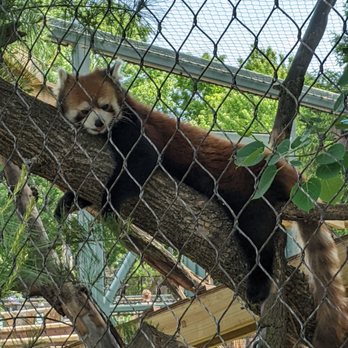 HENRY VILAS PARK ZOO - Updated September 2025 - 476 Photos & 251 ...