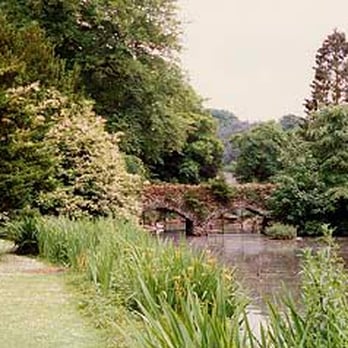 BUSBRIDGE LAKES - Updated August 2024 - Hambledon Road, Godalming ...