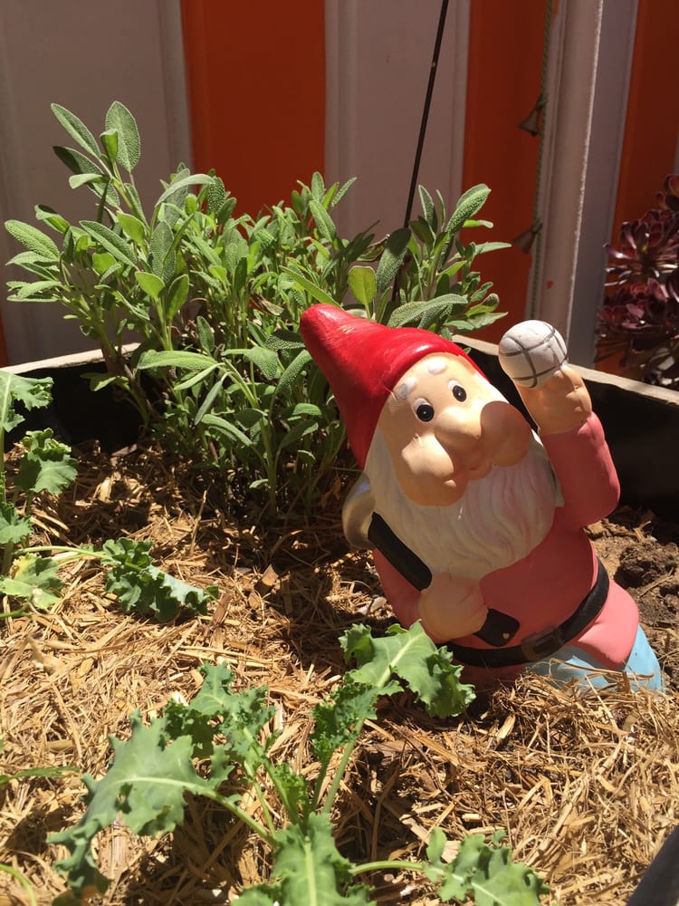 FIVE LITTLE FIGS - Updated June 2025 - 42 Photos & 20 Reviews - 52 ...