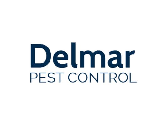 DELMAR PEST CONTROL - Updated December 2025 - 10 Photos & 20 Reviews ...