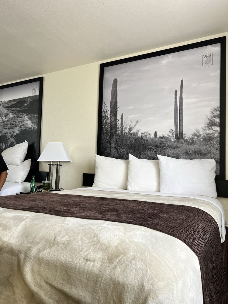 SPRAGUE’S SPORTS - Updated December 2024 - 11 Photos & 75 Reviews - 345 ...