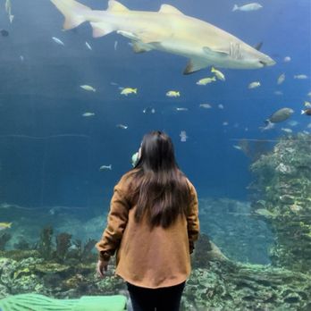 SOBELA OCEAN AQUARIUM - Updated November 2025 - 19 Photos - 6800 Zoo Dr, Kansas City, Missouri ...