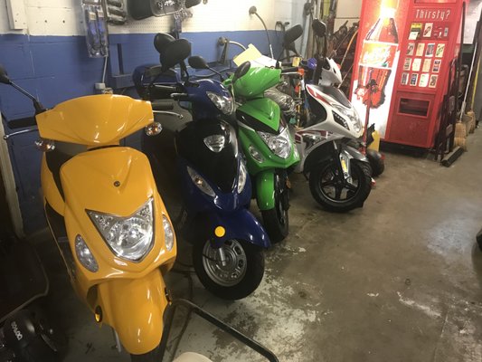 FAYETTE MOPED & LAWNMOWER REPAIR - Updated May 2026 - 12 Reviews - 231 ...