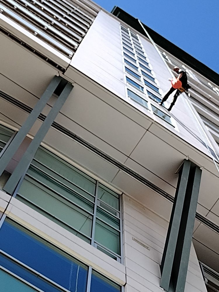 ABSOLUTE WINDOW WASHERS - Updated October 2025 - Aurora, Colorado - Window Washing - Phone ...