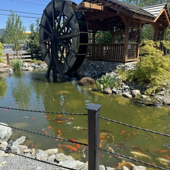 MILL HAUS CIDER - Updated August 2024 - 177 Photos & 117 Reviews - 303 ...