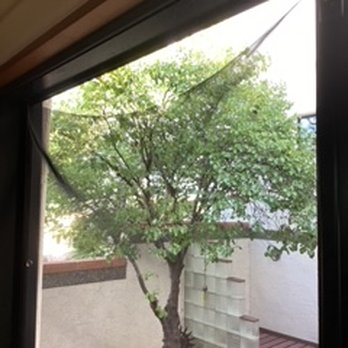 GREEN VALLEY SCREENS & MORE - Updated December 2025 - 30 Photos - 3280 ...