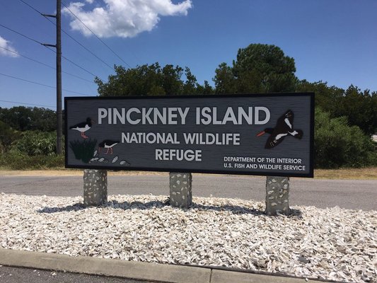 PINCKNEY ISLAND NATIONAL WILDLIFE REFUGE - 10 Photos - 700 Pinckney ...