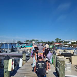 SHELL ISLAND SHUTTLE - 24 Photos & 25 Reviews - Beaches - 4607 State ...