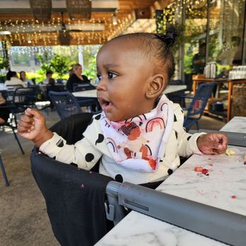 THE FINCH - Updated October 2025 - 335 Photos & 233 Reviews - 5307 East ...