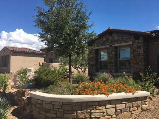 ARIZONA PROSCAPES - Updated December 2025 - 28 Photos - Tucson, Arizona ...