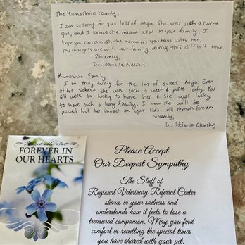 THE REGIONAL VETERINARY REFERRAL CENTER - Updated March 2025 - 23 ...