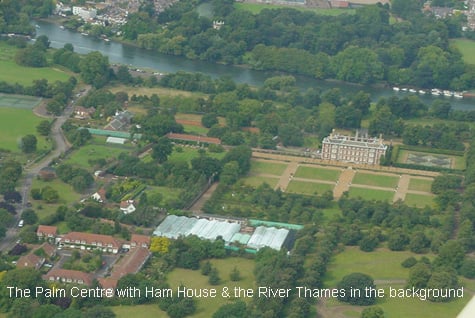 THE PALM CENTRE - Updated September 2025 - Ham Street, Richmond, London ...