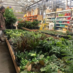 MENARDS - 39 Photos & 38 Reviews - 4850 Route 14, Crystal Lake ...