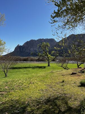 SPRING MOUNTAIN RANCH STATE PARK - 961 Photos & 129 Reviews - 6375 Hwy ...