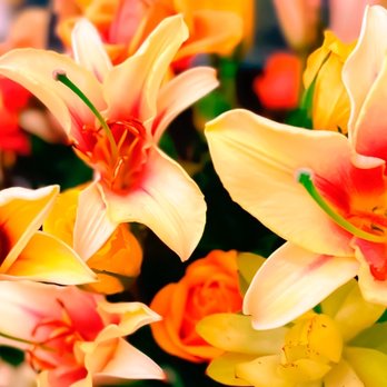 VONS - Updated January 2026 - 168 Photos & 101 Reviews - 2511 Anthem ...