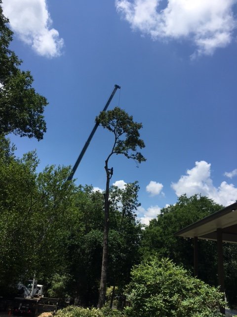 R J TREE SERVICE - Updated July 2025 - 1665 28th Ave S, Birmingham ...