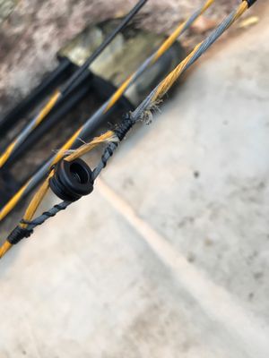 BASS PRO SHOPS - 699 Photos & 591 Reviews - 1356 Bass Pro Dr, Manteca ...