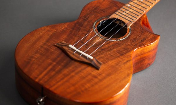 GRYPHON STRINGED INSTRUMENTS - Updated January 2026 - 29 Photos & 236 ...