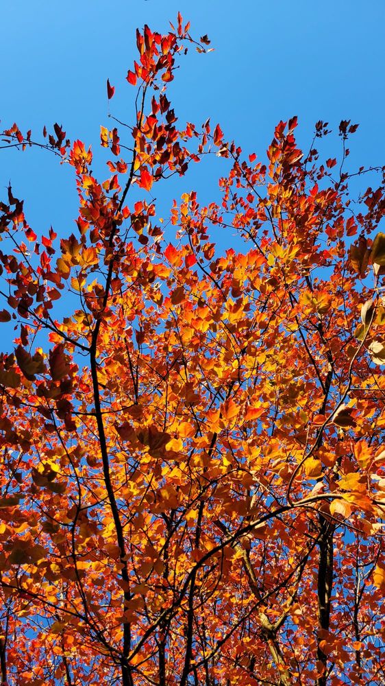 KINNEE PARK - Updated May 2024 - Yelp