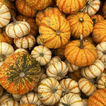 WEBER’S FARM - Updated September 2025 - 273 Photos & 162 Reviews - 2526 ...