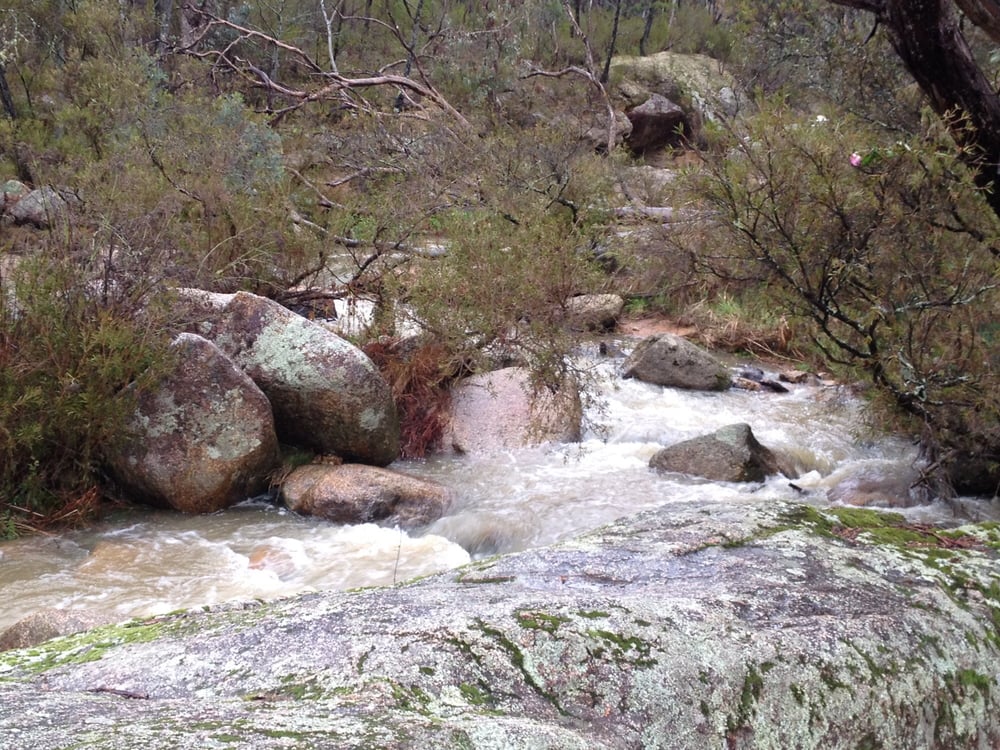 MOUNT PILOT NATIONAL PARK - Updated April 2024 - Chiltern Victoria ...