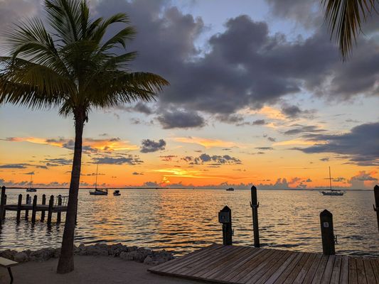 KEY’S PALMS RV RESORT - Updated May 2025 - 52 Photos & 22 Reviews ...