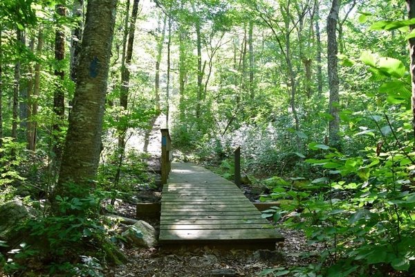 BRADNER PRESERVE - Updated June 2024 - 380 Gardiner Rd, Richmond, Rhode ...