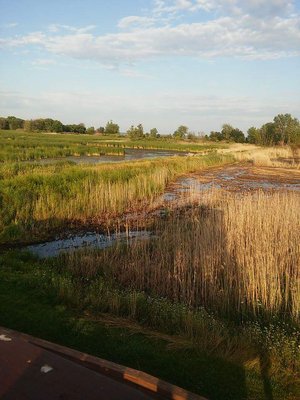 NAYANQUING POINT STATE WILDLIFE AREA - Updated October 2025 - 11 Photos ...