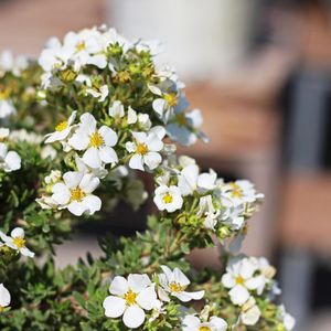 THE GREEN LIGHT CAFE - Updated October 2025 - 20 Photos & 29 Reviews ...