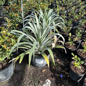 ORLANDO IRRIGATION REPAIR INC - Updated November 2024 - 618 E S St ...