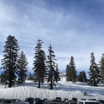 MT ROSE SKI TAHOE - 961 Photos & 426 Reviews - 22222 Mt Rose Hwy, Reno ...