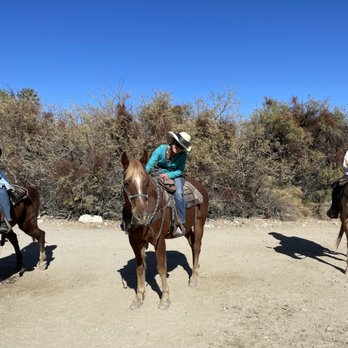 SMOKE TREE STABLES - Updated December 2025 - 354 Photos & 322 Reviews ...