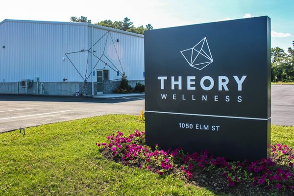 THEORY WELLNESS - Updated December 2025 - 10 Photos & 31 Reviews - 1050 ...