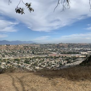 ELYSIAN PARK - 717 Photos & 218 Reviews - Parks - 929 Academy Rd, Los ...