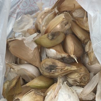 BECNEL BEN SOUTH LOUISIANA CITRUS & VEGETABLE FARM - Updated January ...