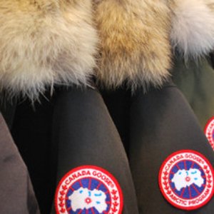 SAIL - Updated January 2026 - 59 Photos - 2850 Avenue Jacques-Bureau ...