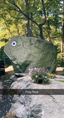FROG ROCK - Updated August 2025 - 34 Photos & 18 Reviews - Pomfret Road ...