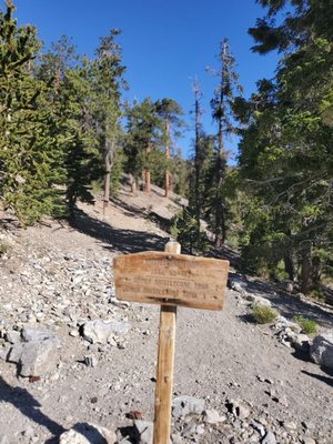 BONANZA TRAIL - Updated June 2025 - 78 Photos - Cold Creek Rd, Las ...