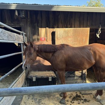 GARROD FARMS RIDING STABLES - Updated May 2026 - 221 Photos & 235 ...