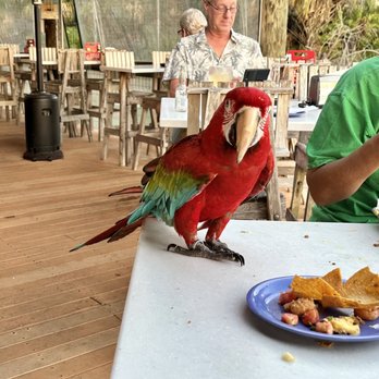 RUM RIVER BAR & GRILL - Updated October 2025 - 91 Photos & 139 Reviews ...