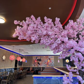 SUSHI MASTER - Updated December 2025 - 96 Photos & 31 Reviews - 600 ...