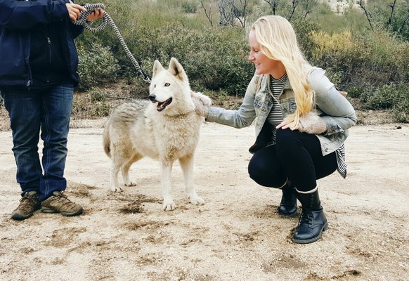 WOLF CONNECTION - Updated December 2025 - 53 Photos & 20 Reviews ...